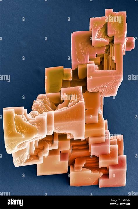 Calcite Crystals Coloured Scanning Electron Micrograph Sem Of