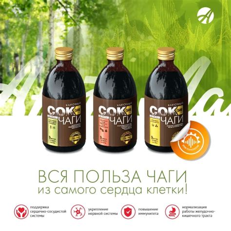 Вся польза чаги из самого сердца клетки \ Интернет-магазин Арт Лайф