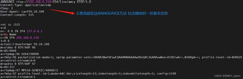 Ffmpeg Rtsp Rtp Rtp Csdn
