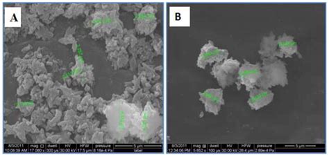 Preparation And Characterization Of N Halamine Based Antimicrobial Fillers Abstract Europe Pmc