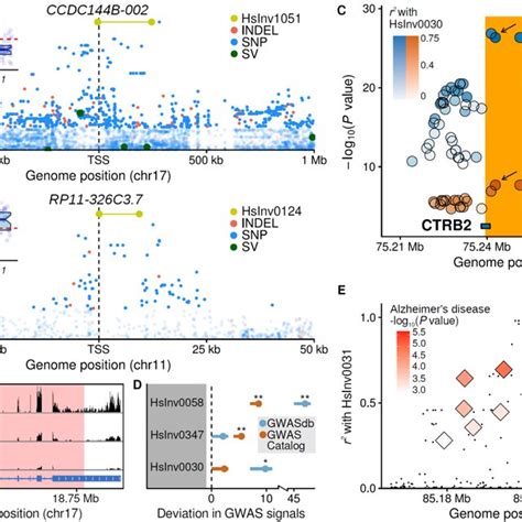 Examples Of Inversion Functional Effects A Manhattan Plots For