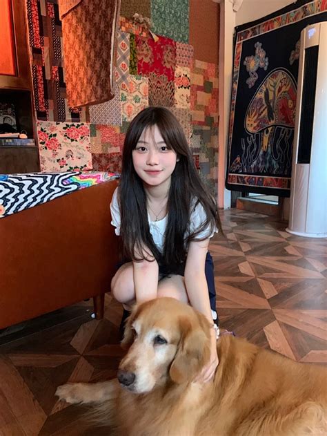 猫猫教还是狗狗教 花瓣网