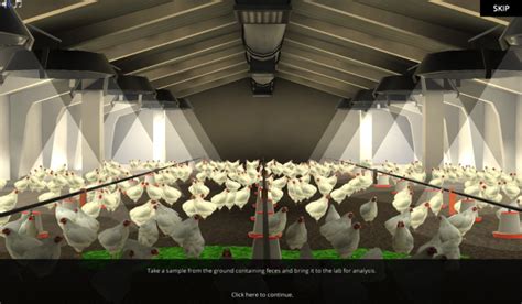 6 Tips For Teaching Bacterial Isolation