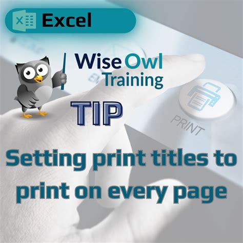 wise owl training on linkedin excel exceltips