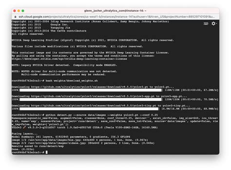 Detection Doesnt Produce Any Bounding Box On Test Images · Issue 1744