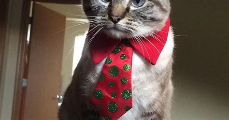 Im Going To Need Those Tps Reports Asap Imgur