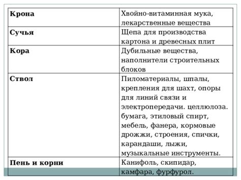 Презентация лес и климат.