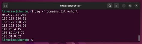 Dig Command The Most Common Use Cases In Examples