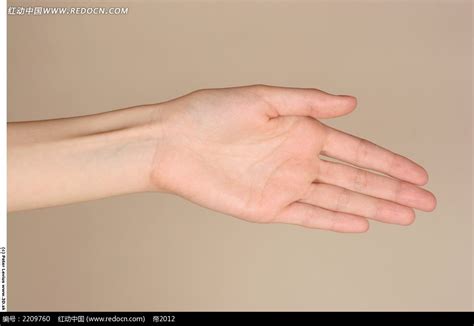 手掌照片女手照片女像自己照的 伤感说说吧