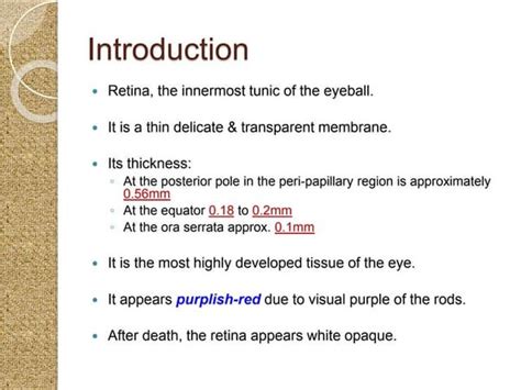 Anatomy Of Retina