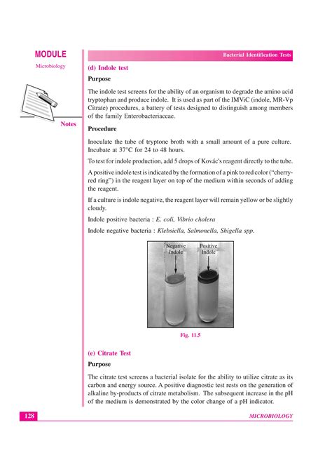 Bacteria Identification Testspdf