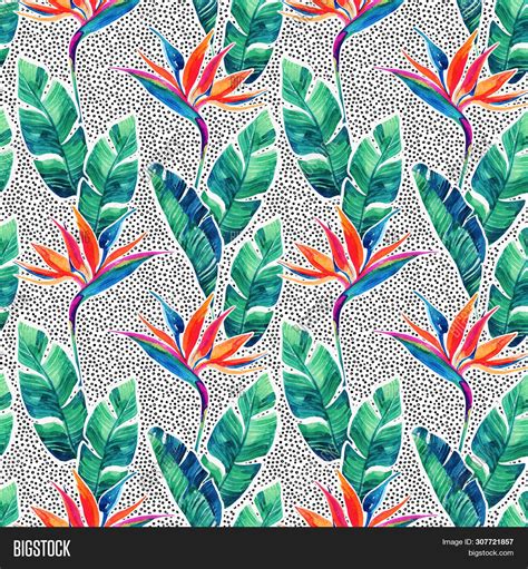 Floral Exotic Seamless Image And Photo Free Trial Bigstock