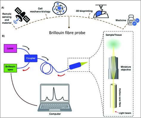 Schematic Design Of The Brillouin Fibre Probe And Potential