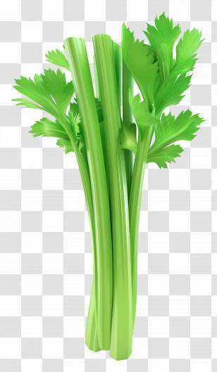 Celery Python Nodejs Task Django Png