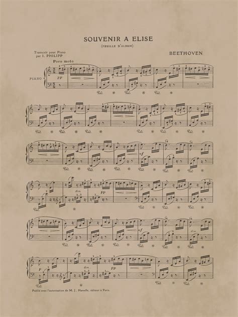 بهترین تصاویر زمینه گوشی 2024 دانلود رایگان پس زمینه های خاص و جذاب برای گوشی