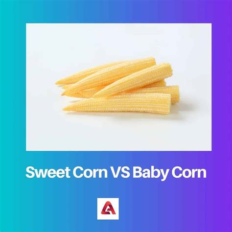 Jagung Manis Vs Baby Corn Perbedaan Dan Perbandingan