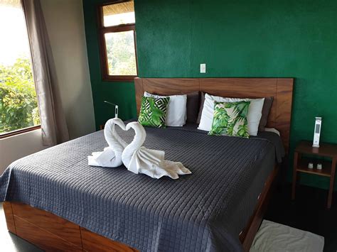 Current Information About The Palmetto Lodge Palmetto Lodge