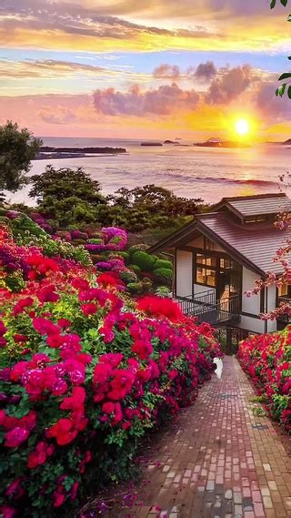 风月好看人间浪漫 风景手机动态壁纸 风景手机壁纸下载 元气壁纸
