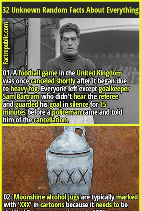 50 Random Facts List 13 Artofit