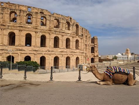 Is Tunisia Safe My Experience In The North African Country Claire S