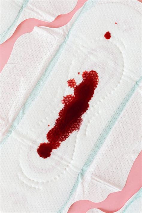 Transar menstruada faz mal Saiba mitos e verdades de sexo no período