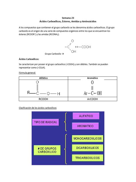 Ácidos Carboxílicos Ésteres Y Amidas Pdf Ácido Carboxílico