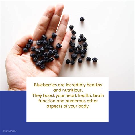 Dried Blueberries No Sugar Added 2 Lbs Blue Berries Fruit Dehydrated