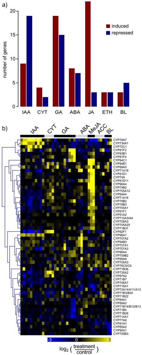 Hormone Responsive Expression Microarray Expression Data Were