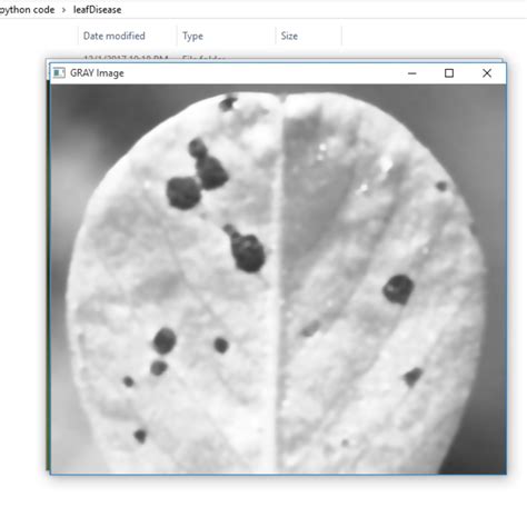Automatic Leaf Disease Classification Using Hybrid Features And