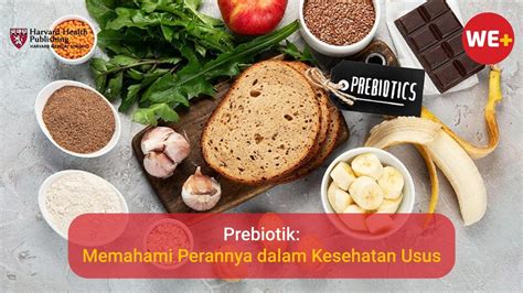 Prebiotik Memahami Perannya Dalam Kesehatan Usus We Blog