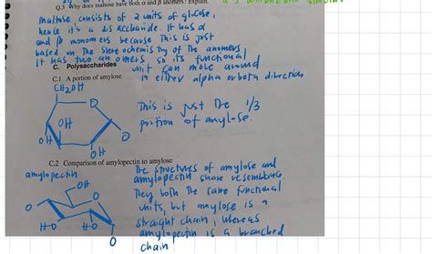 Solved Help With Homework Please Types Of Carbohydrates Report