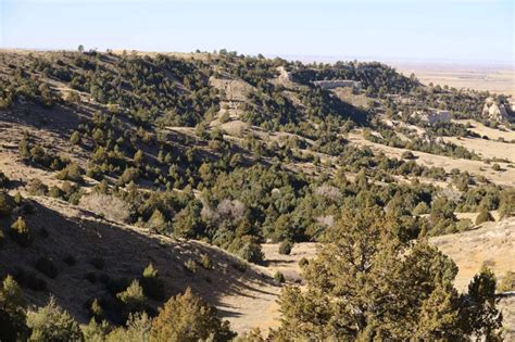 Bumpy Road Ranch Hunting Land For Sale