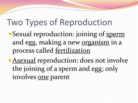 Ppt Plant Reproduction Powerpoint Presentation Free Download Id