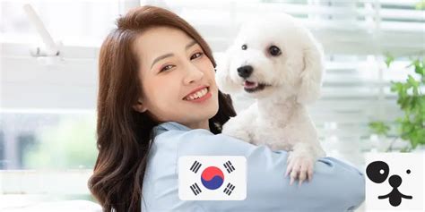 100 Nombres Coreanos Para Perros Y Su Significado