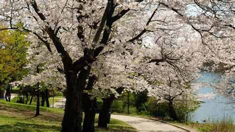 Днес ще бъде предимно слънчево Новини бг