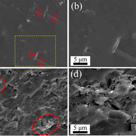 Sem Images Secondary Electron Mode Of Borosilicate Glass Powders A
