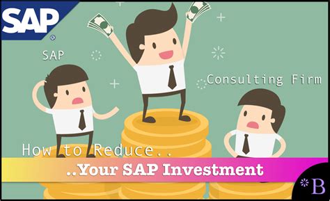 How To Reduce Your Sap Investment Brightwork Research And Analysis