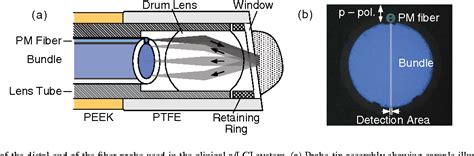 Figure 3 From Nuclear Morphology Measurements With Angle Resolved Low Coherence Interferometry