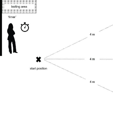 Schematic Representation Of The Cognitive Bias Task Download Scientific Diagram