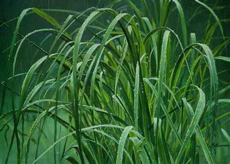 Robert Bateman Presents Beach Grass And Tree Frog