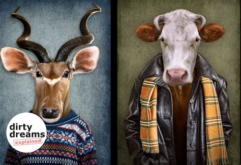 Sexträume Erklärt Was Bedeutet Sex Mit Tieren