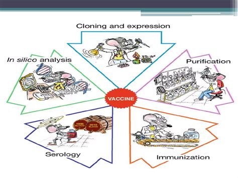 Reverse Vaccinology By Aashi Pptx Genetics Science