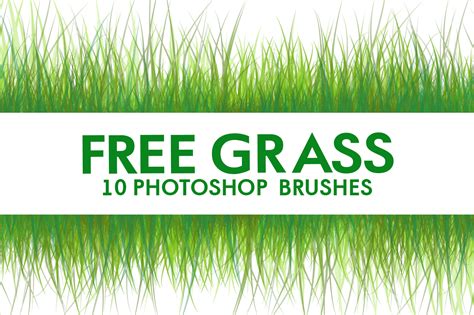Free Photoshop Grass Brushes Kdastorm