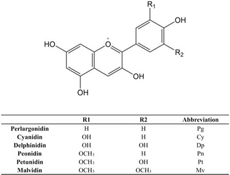 Figure 1 From Characterization Of Acylated Anthocyanins In Red Cabbage