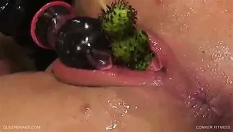 Tanita Queensnake Queensect Xhamster
