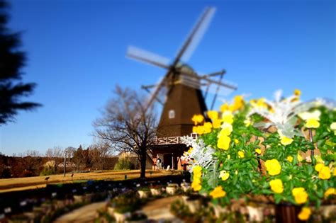 『冬のアンデルセン公園、メルヘンの丘、子供美術館』船橋・習志野 千葉県 の旅行記・ブログ By みささん【フォートラベル】