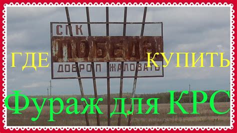 Как в деревне купить фуражное зерно ездил на ГАЗели к соседу Youtube
