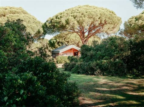 Gampling Program Meridia