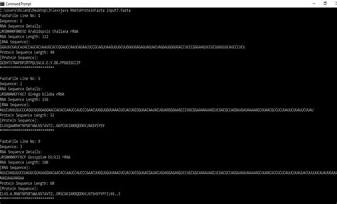 translation of rna sequences to protein sequences using jflex lexical