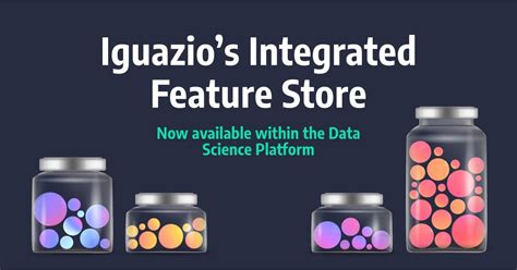 Ml Feature Store Iguazio